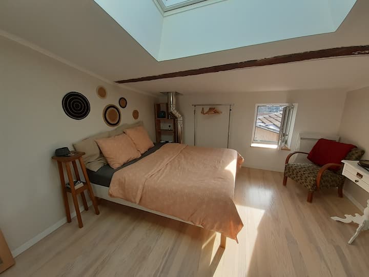 Chambre Et Salon Privé Dans Maison D'artiste - Givors