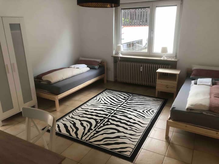 Hauckwald Apartment 3 - Alzenau