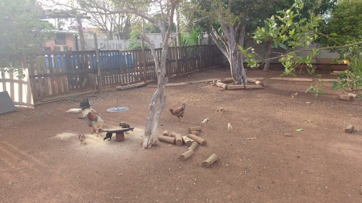 Casa Completa! Ideal P/ Famílias Em Fim De Semana! - Curvelo