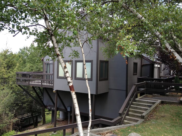 Camelback Mountain Corner Townhome # 55 - Tannersville, PA