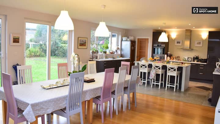 Single Or Double Room In Bright Attic.stairs. - Dublin