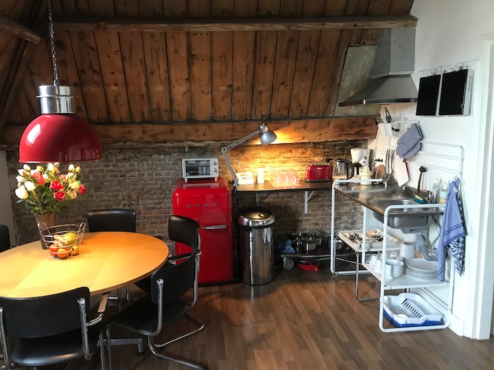 Ap. Penthouse Loft "Harbour View", Free Parking - 布雷達