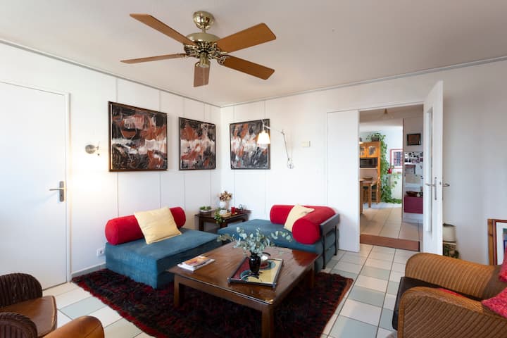 Un Appartement Au Cœur Du Quartier Des Beaux-arts - Musée Fabre