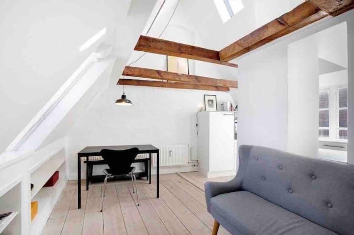 Cool Lofts Apartment In The Heart Of Copenhagen - Kööpenhamina