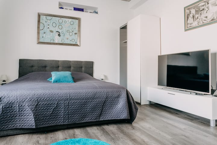 Blue Grand Studio Near City Centre - Ljubljana