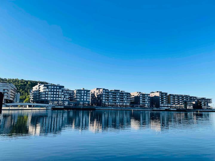 Oslo Sentrum. Rom Med Eget Bad I Sørenga - Oslo