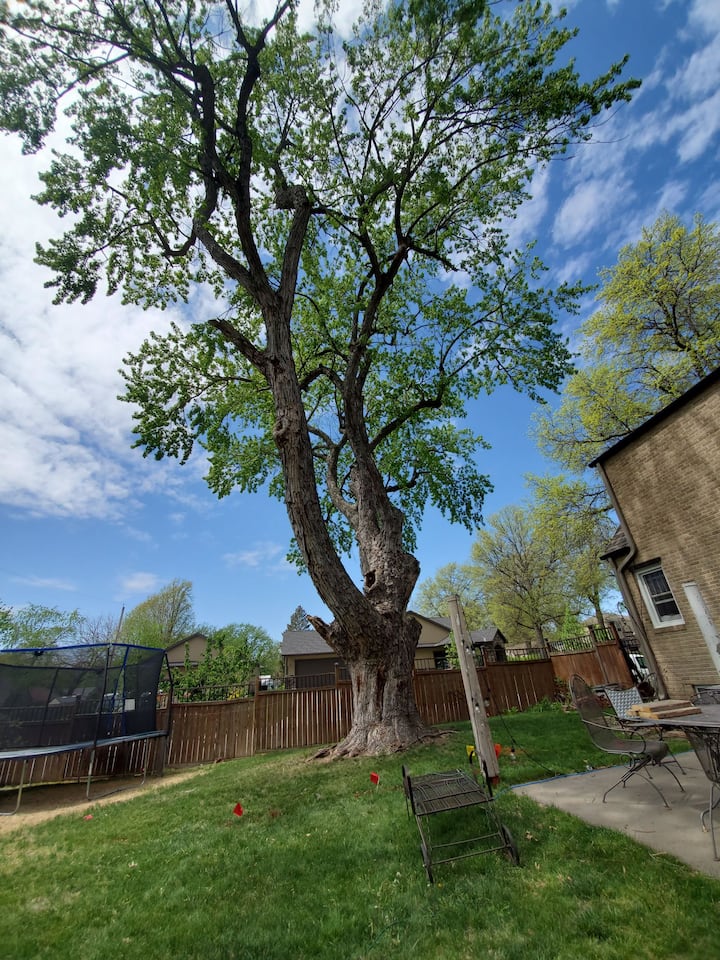 New Luxury Bath Suite!
Safe Central Neighborhood. - Lincoln, NE