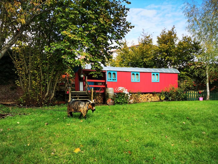 Roulotte Et Spa - Arras