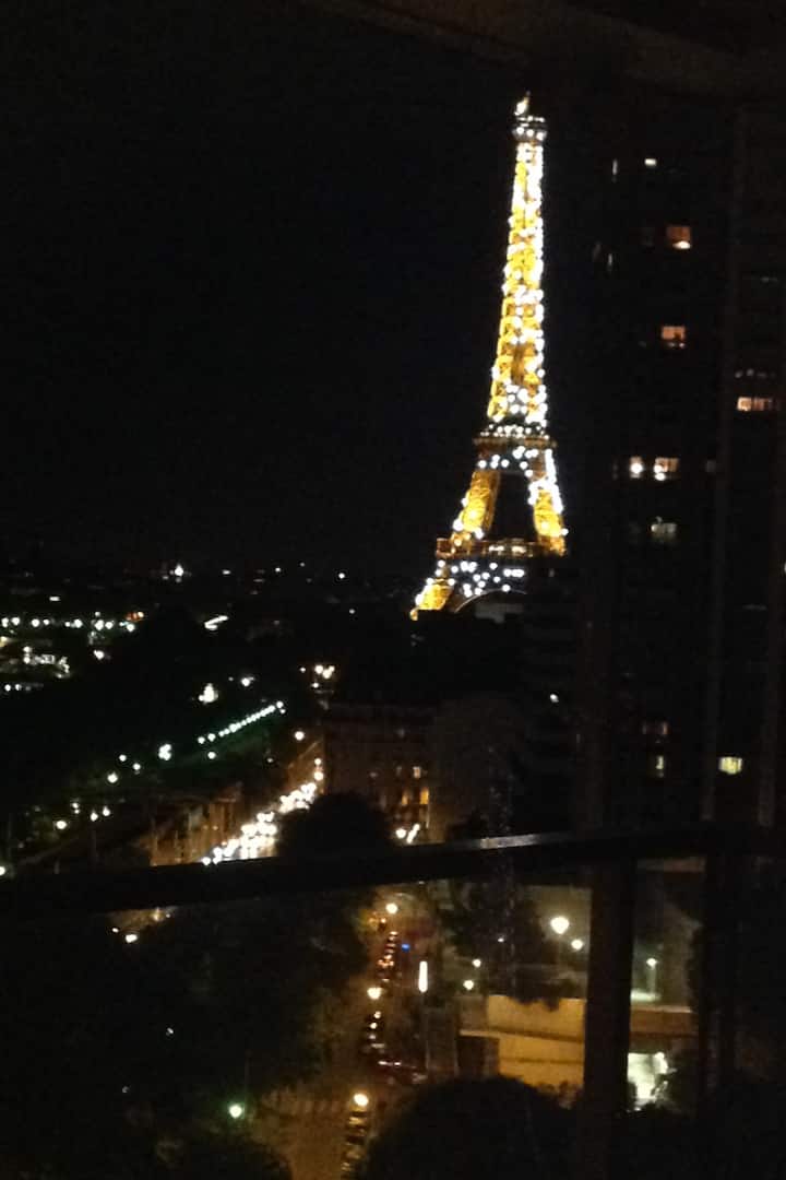 Marvelous view of the Eiffel Tower and the Seine - Apartments for Rent ...