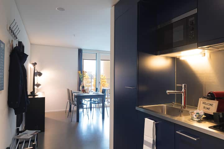 Bright 2.5 Room Apartment Pilatus Iii - Lucerne