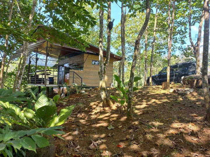A Cabin Full Of Life, A Beautiful Place - Costa Rica