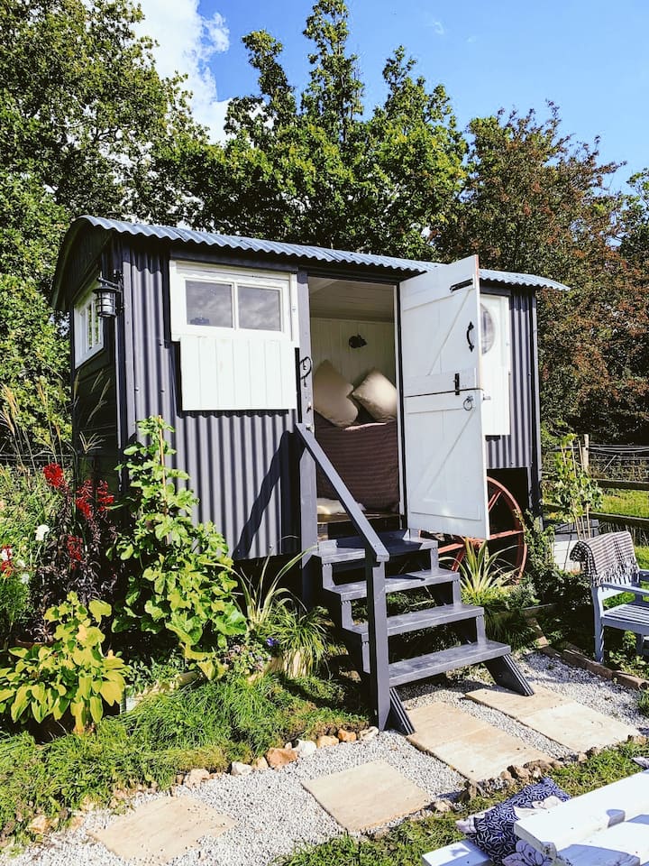 Shepherds Hut With Alpaca Views - Hayling Island