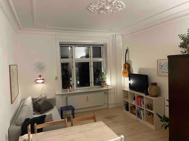Lejlighed I København - コペンハーゲン