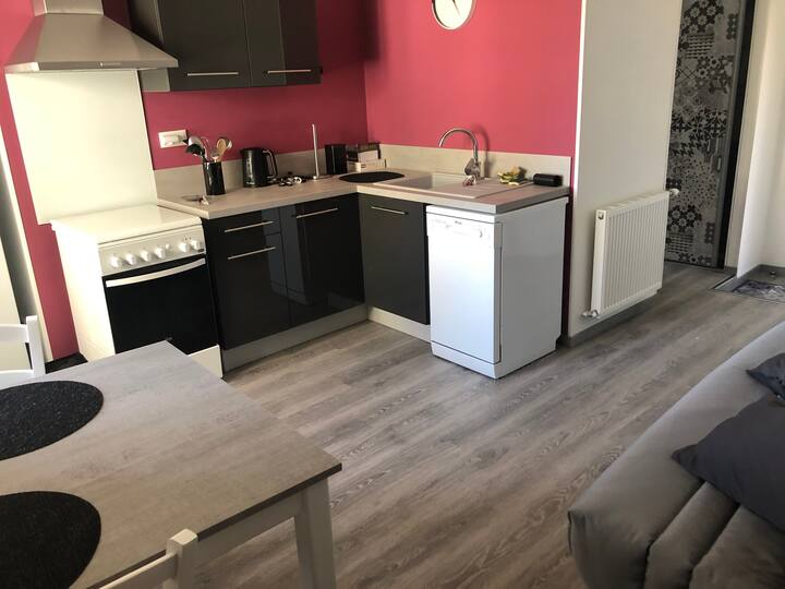 Logement Entier Centre Ville Avec Vue Sur Le Lac - Langres