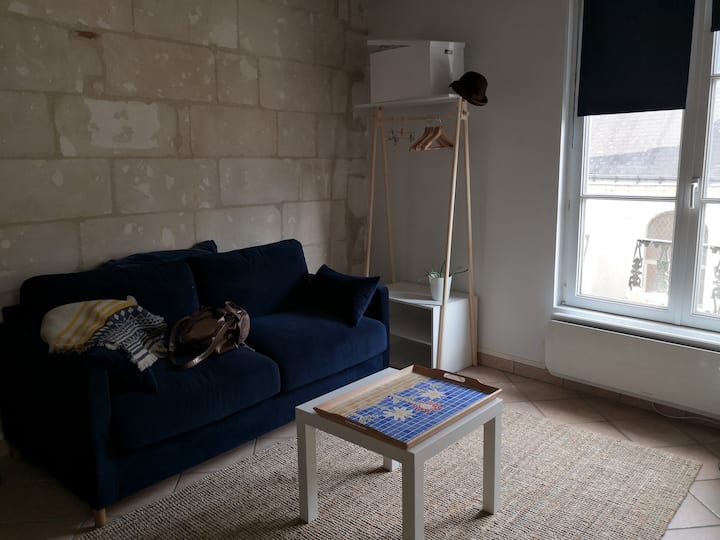 Beau Studio Centre De Tours - Tours