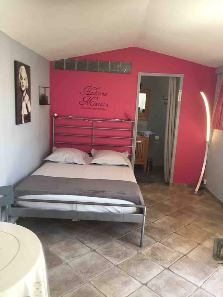Joli Logement (Sans Cuisine ) - Grimaud