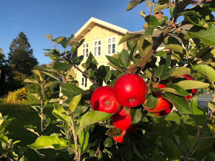 Trondheim Leilighet I Idyllisk Sveitservilla - Trondheim