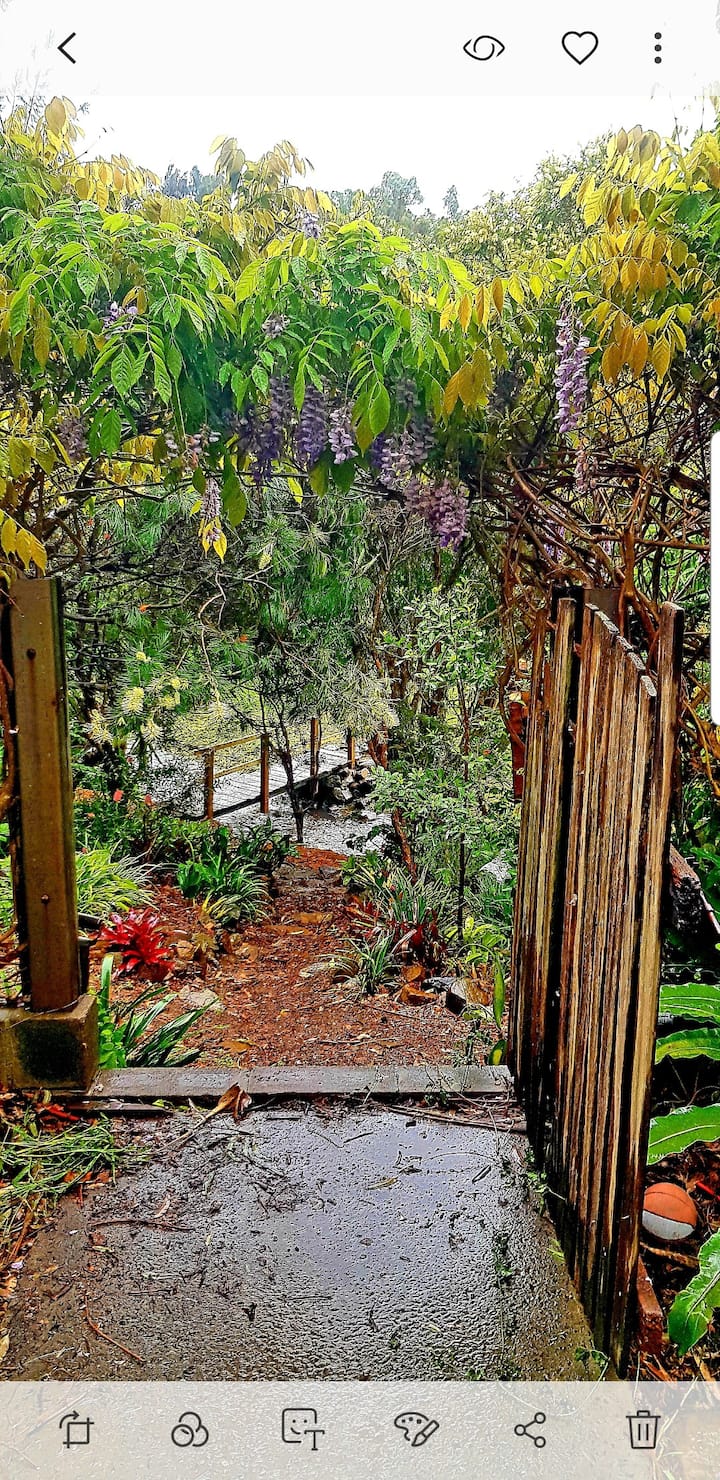 Kiama, Where Native Gardens Meet The Ocean - Kiama
