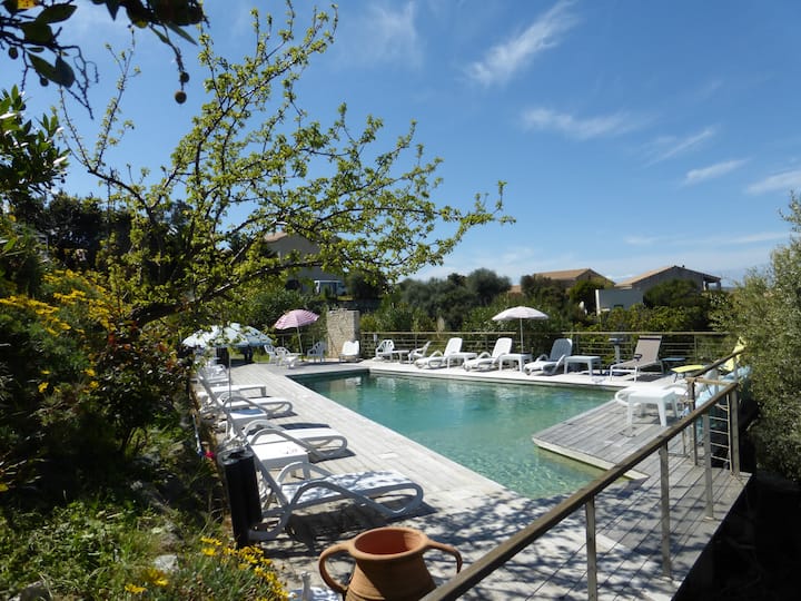 Villas Bord De Mer Avec Sa Piscine - Plage de Saleccia