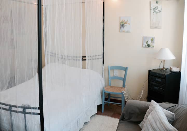 Charmant Duplex Cour Et Terrasse - Albi