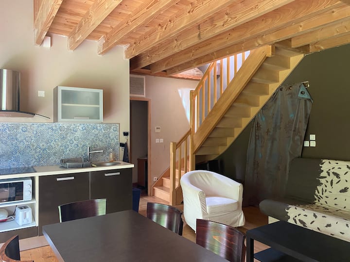 Grand Appartement Climatisé/jardin Studi’auch - Auch