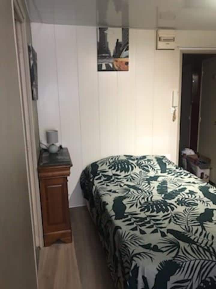 Le Maupassant - Studio Centre Aix-les-bains - Aix-les-Bains