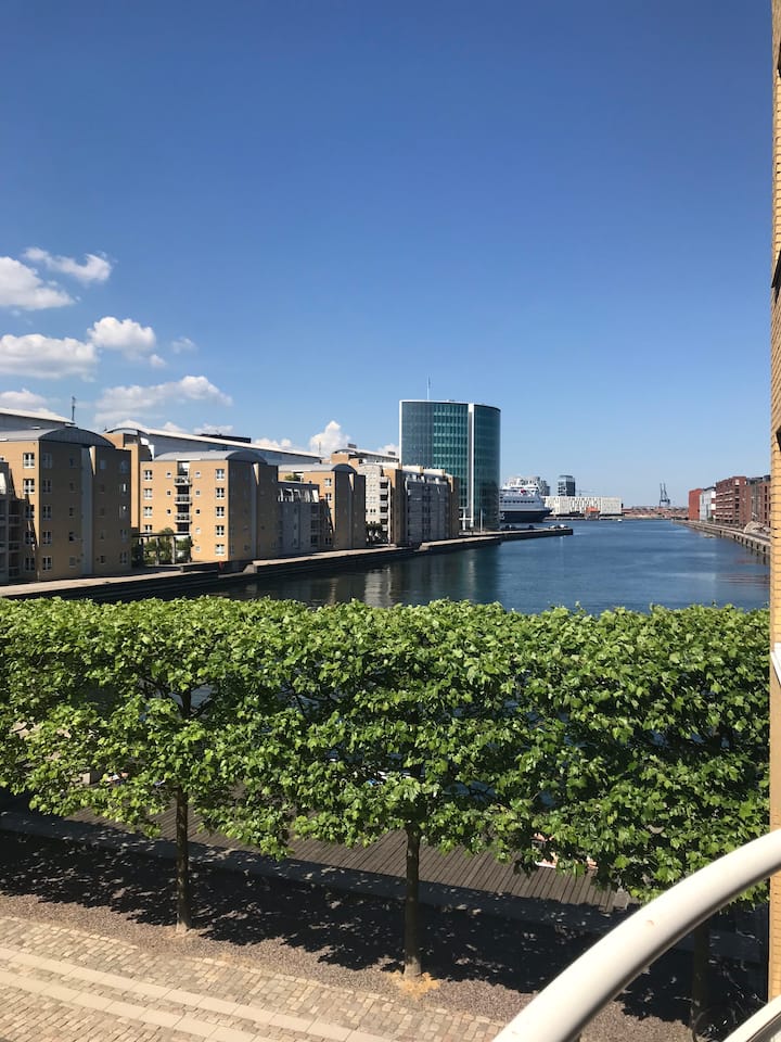 Central Location And Seaview - Copenhague