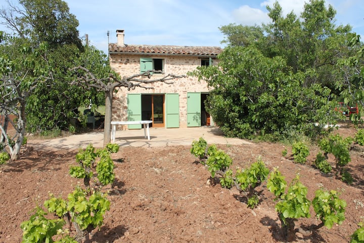 Petite Maison Au Milieu Des Vignes à Sollies-pont - Solliès-Pont