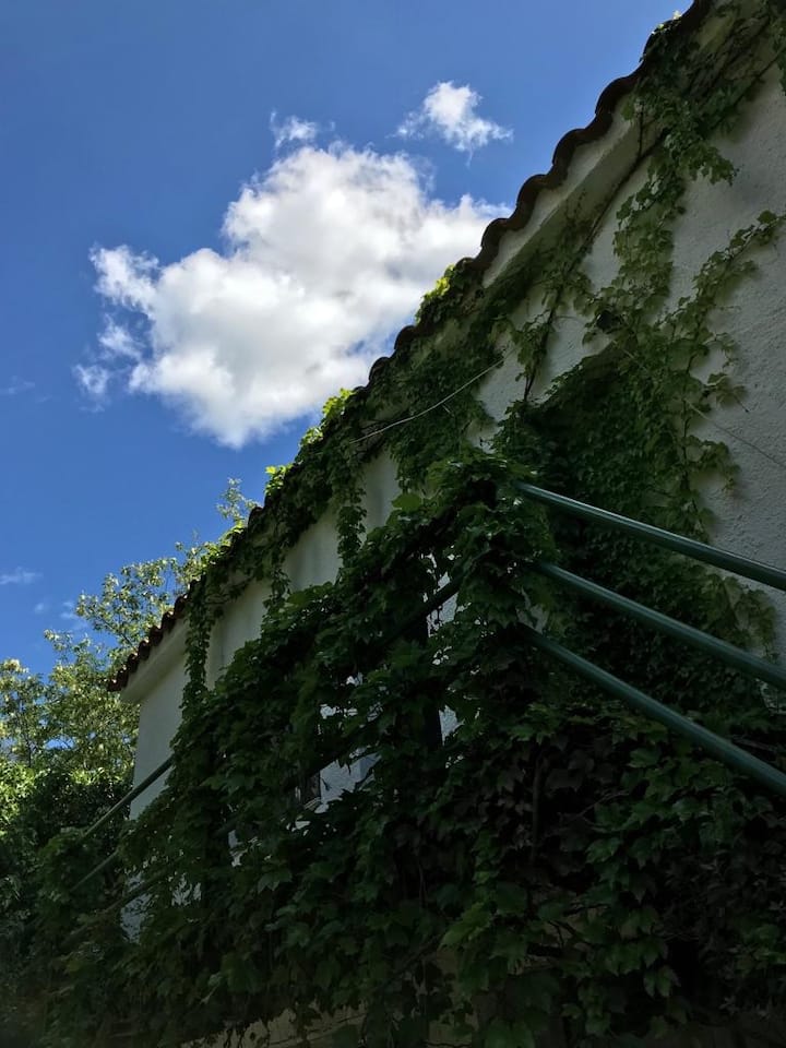 Country House In Montseny Natural Park - Santa Maria de Palautordera