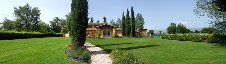 Le Stelline - Montefalco