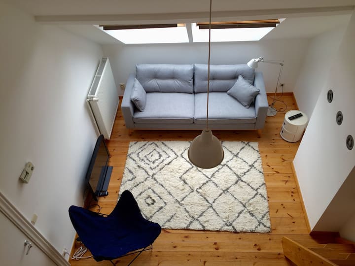 Appartement Lumineux Dans Quartier Arboré - Brussels