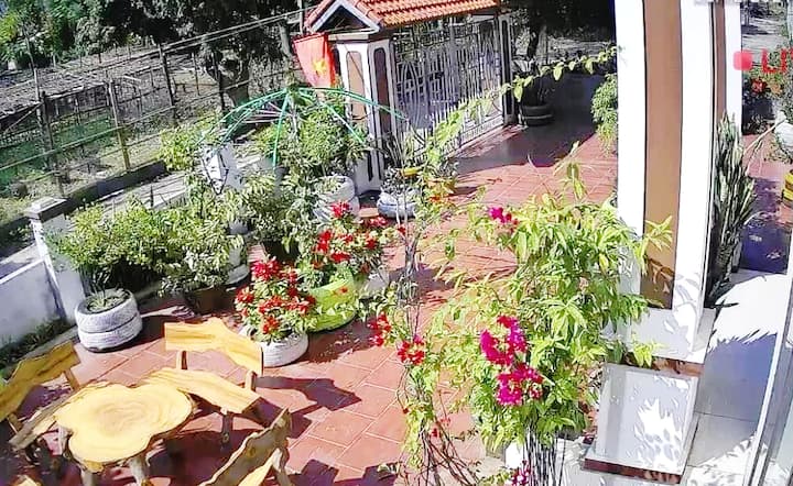 Homestay Kim Thoa Trà Cổ Móng Cái - Móng Cái