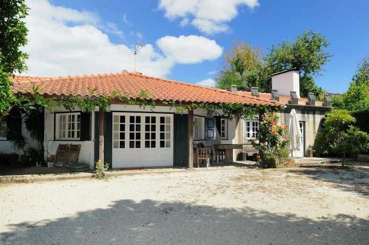 Casa Do Barreiro De Cima - Celorico de Basto