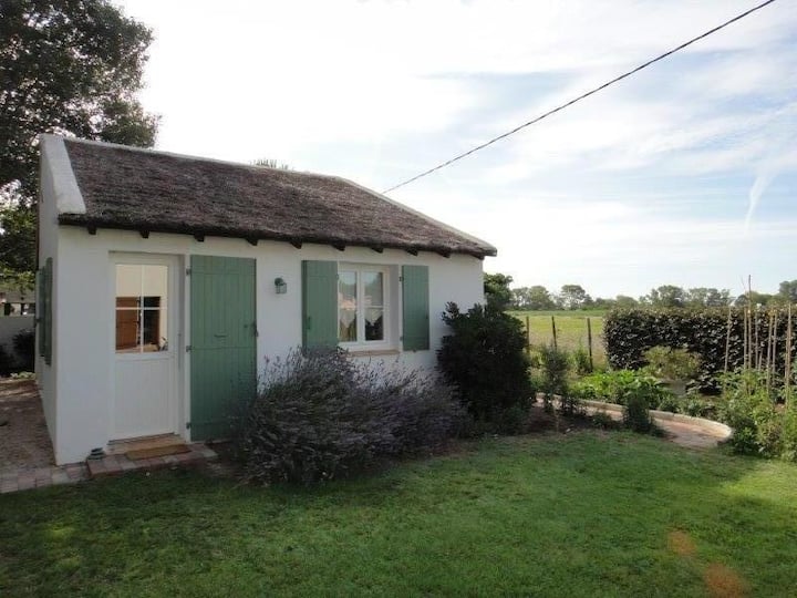 Cabaña Camargue Con Aire Acondicionado En El Borde De Un Bosque De Pinos - Gard