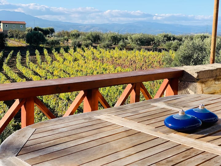 Casa Da Fonte - Casa De São Miguel Douro - Armamar