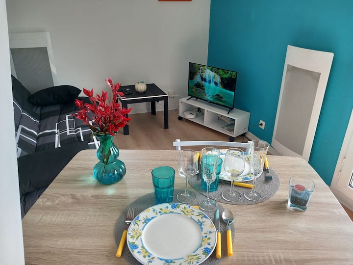 Appartement Magister Avec Place De Parking Privée - Annecy