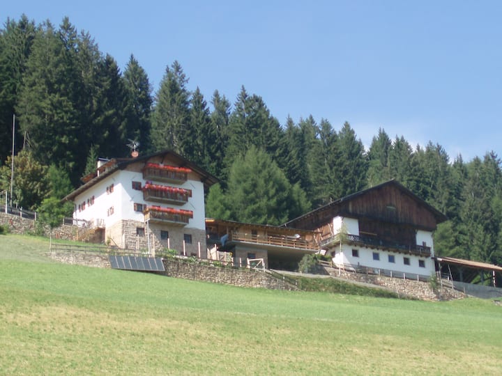 Frische Bergluft Spüren - Alpe di Siusi
