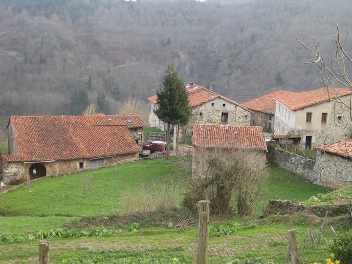 Casa En Liebana. Picos De Europa. Colio - Potes