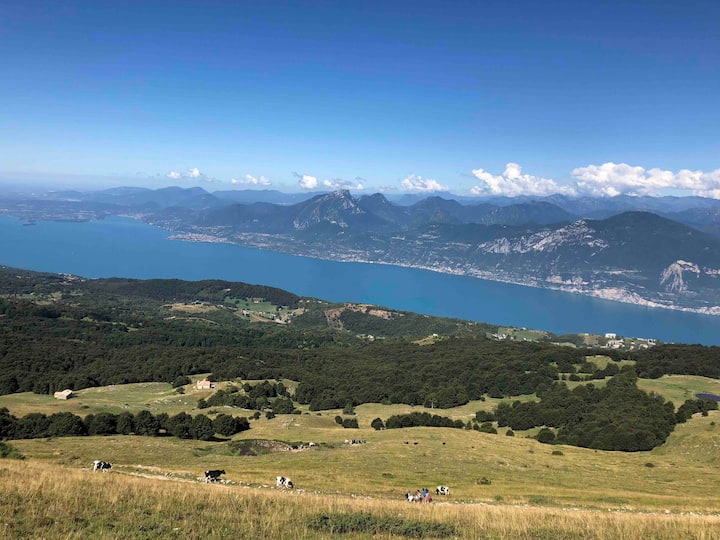 Appartamento Con Ampio Giardino - Torri del Benaco