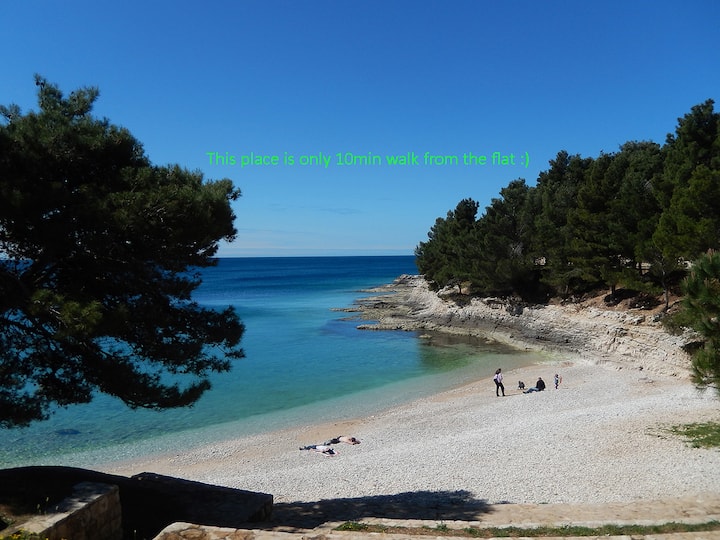 Great Flat Few Minutes From Beach! - Pula