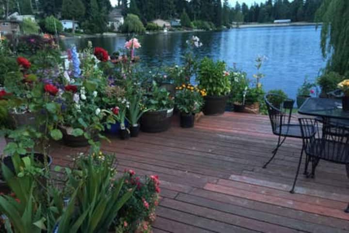 Lakefront- Lower Floor - No Animal - Allergies - Federal Way, WA