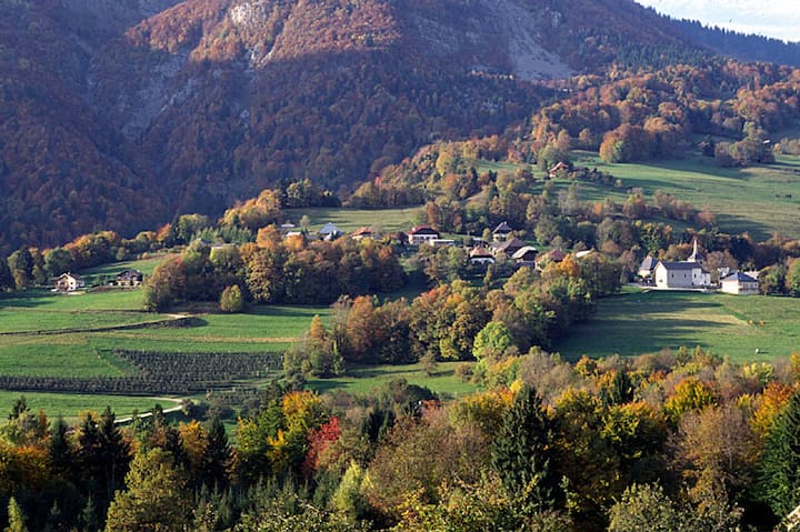 Le Confort En Montagne - Albertville