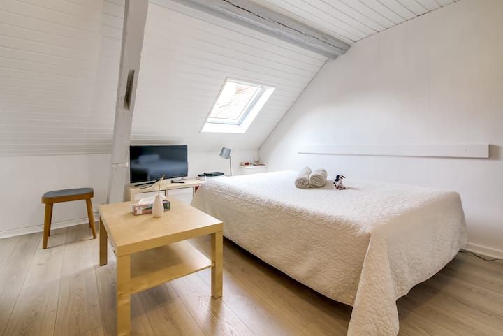 Charmant Studio - Gare/centre - Strasburgo