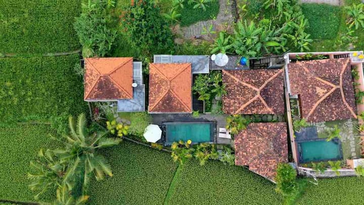 Wooden House W Private Kitchen And Pool View - Bali