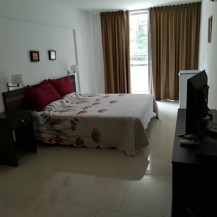 Estudios Palermo  Botanico - 