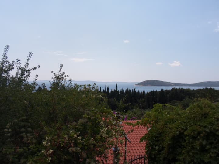 Nature Experience 2 - Split