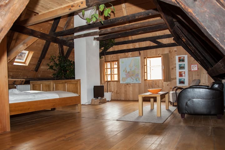 Soukenická 44 -Attic Apartment - Český Krumlov