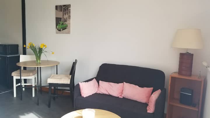 Appartement Lumineux Avec Jardin - Amboise - Amboise
