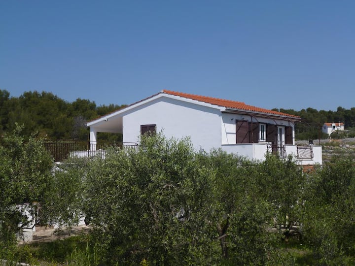 Appartments Oliva - Maslinica