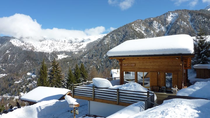 6 Bedroom 6 Bathrm Mountain Chalet Jacuzzi & Sauna - Canton du Valais